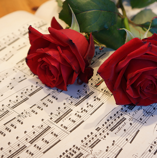 Kammarmusikkonsert - Vänersborgs museum