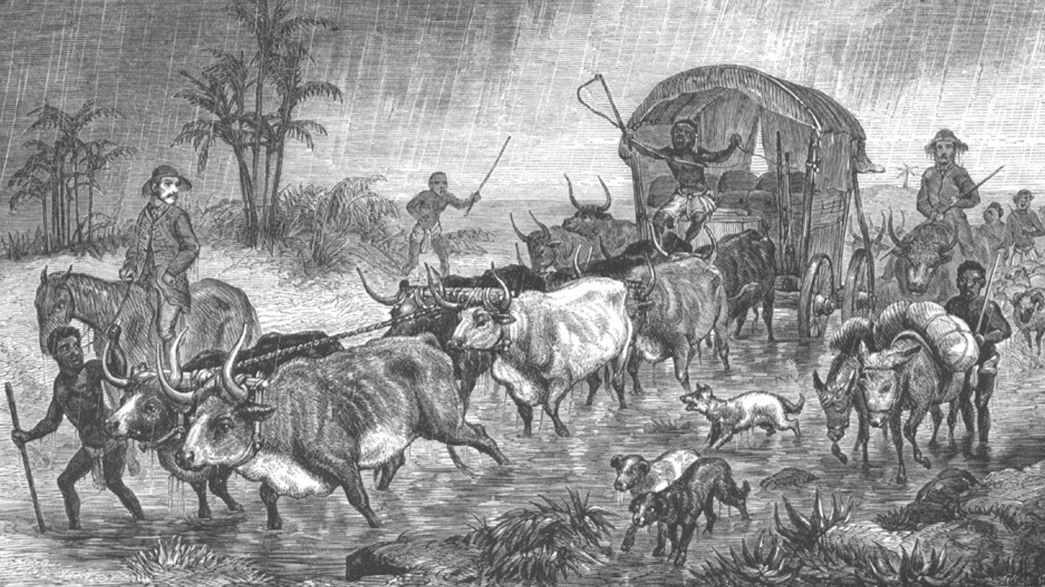 Charles John Andersson - Vänersborgs museum